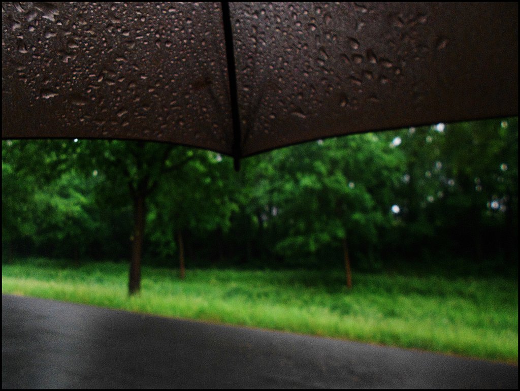 Rainy Weekend Possible (Aug 2-3) | WeatherNJ.com
